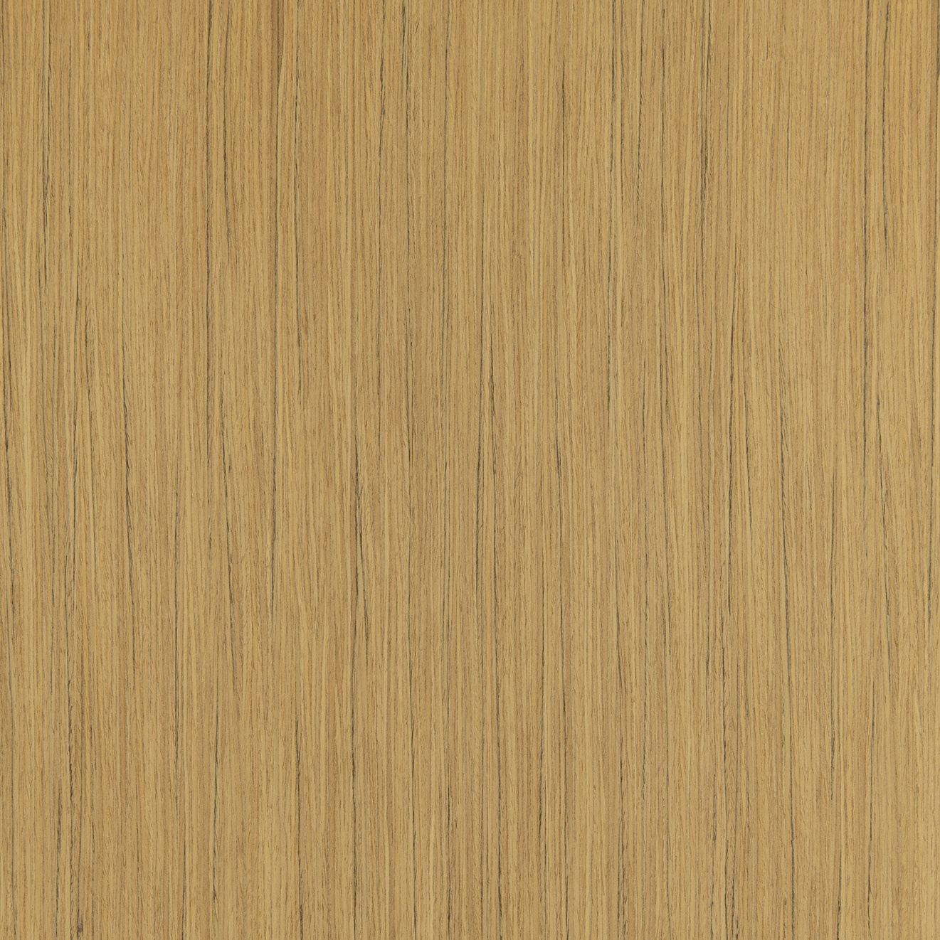 Infinite Wood | Huyskamps