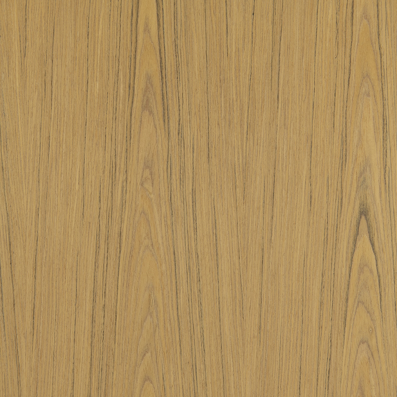 Infinite Wood | Huyskamps