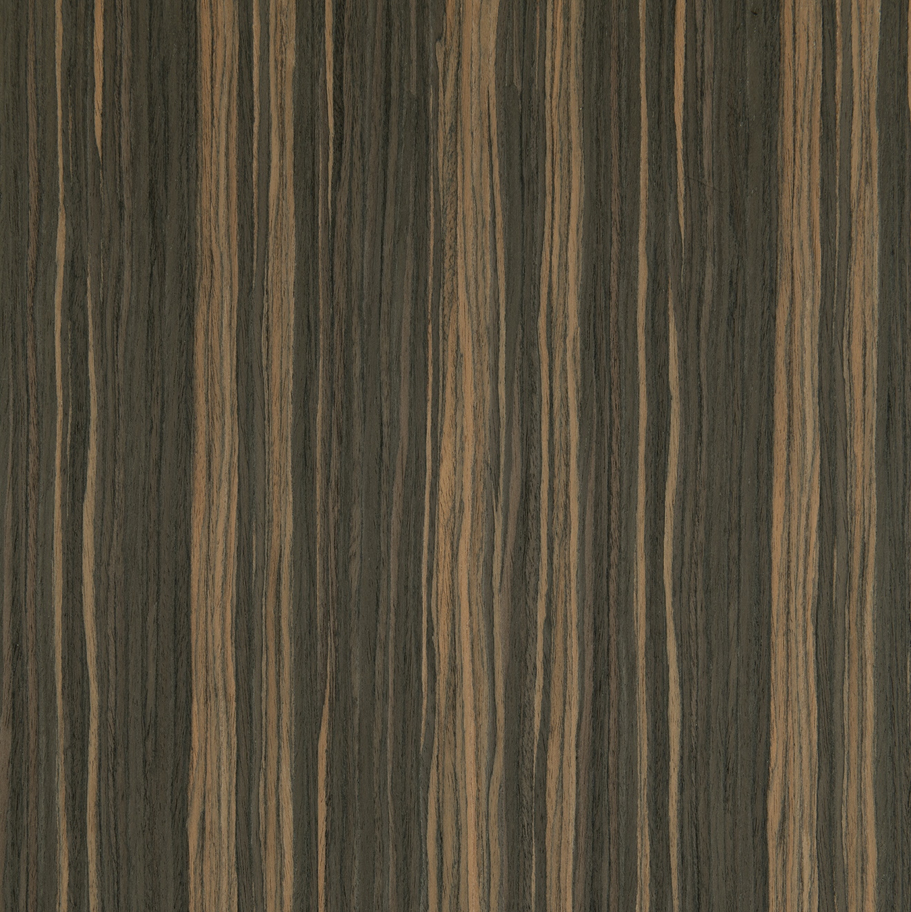 Infinite Wood | Huyskamps