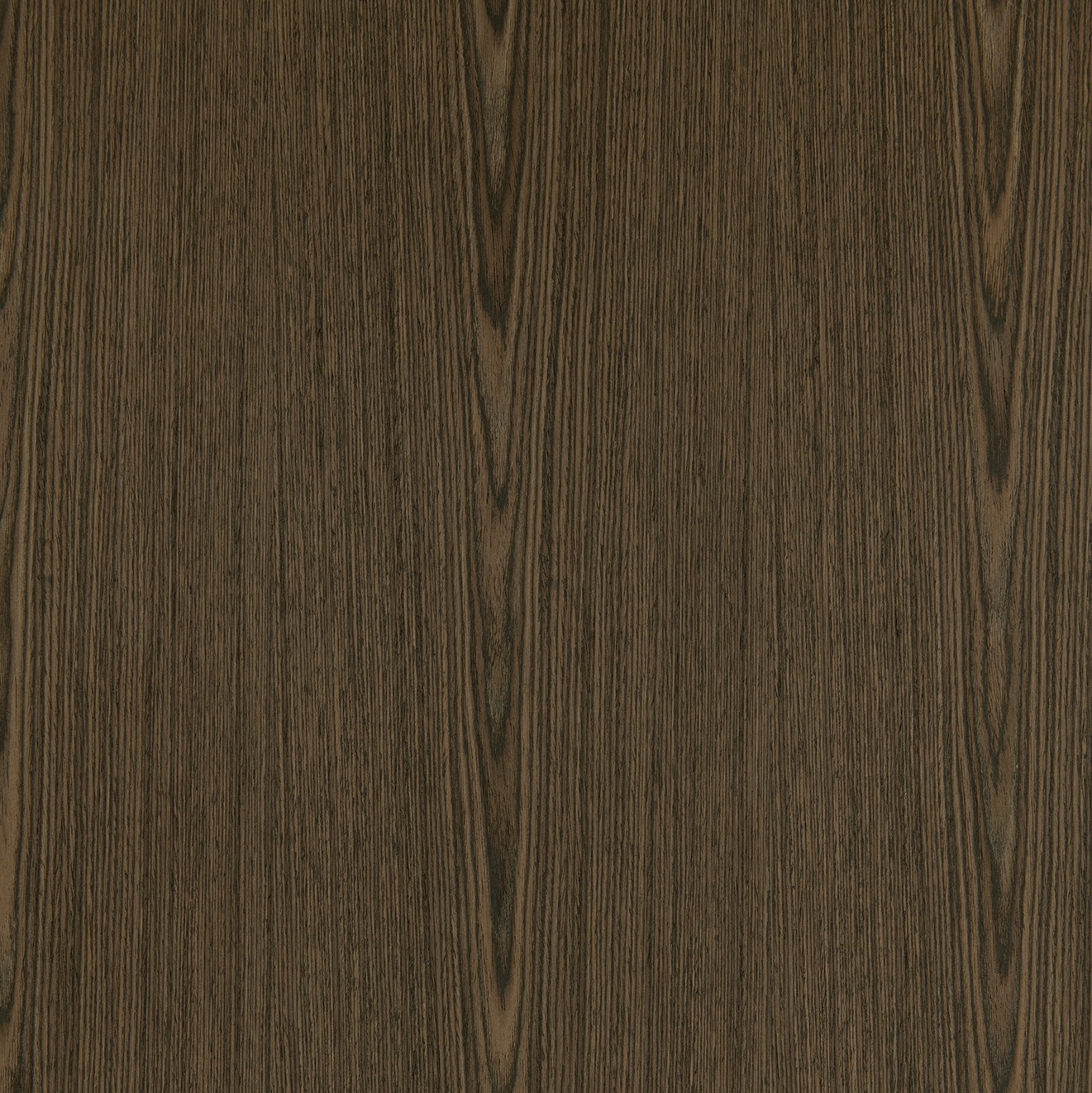 Infinite Wood | Huyskamps