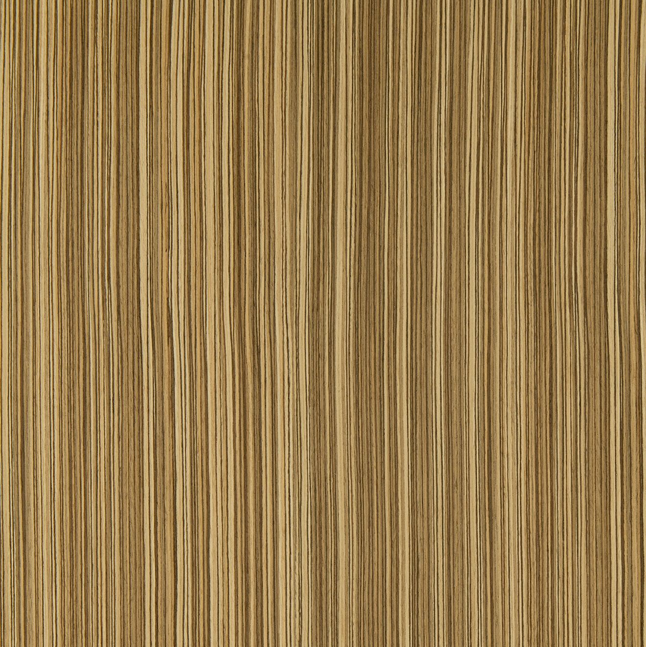 Infinite Wood | Huyskamps