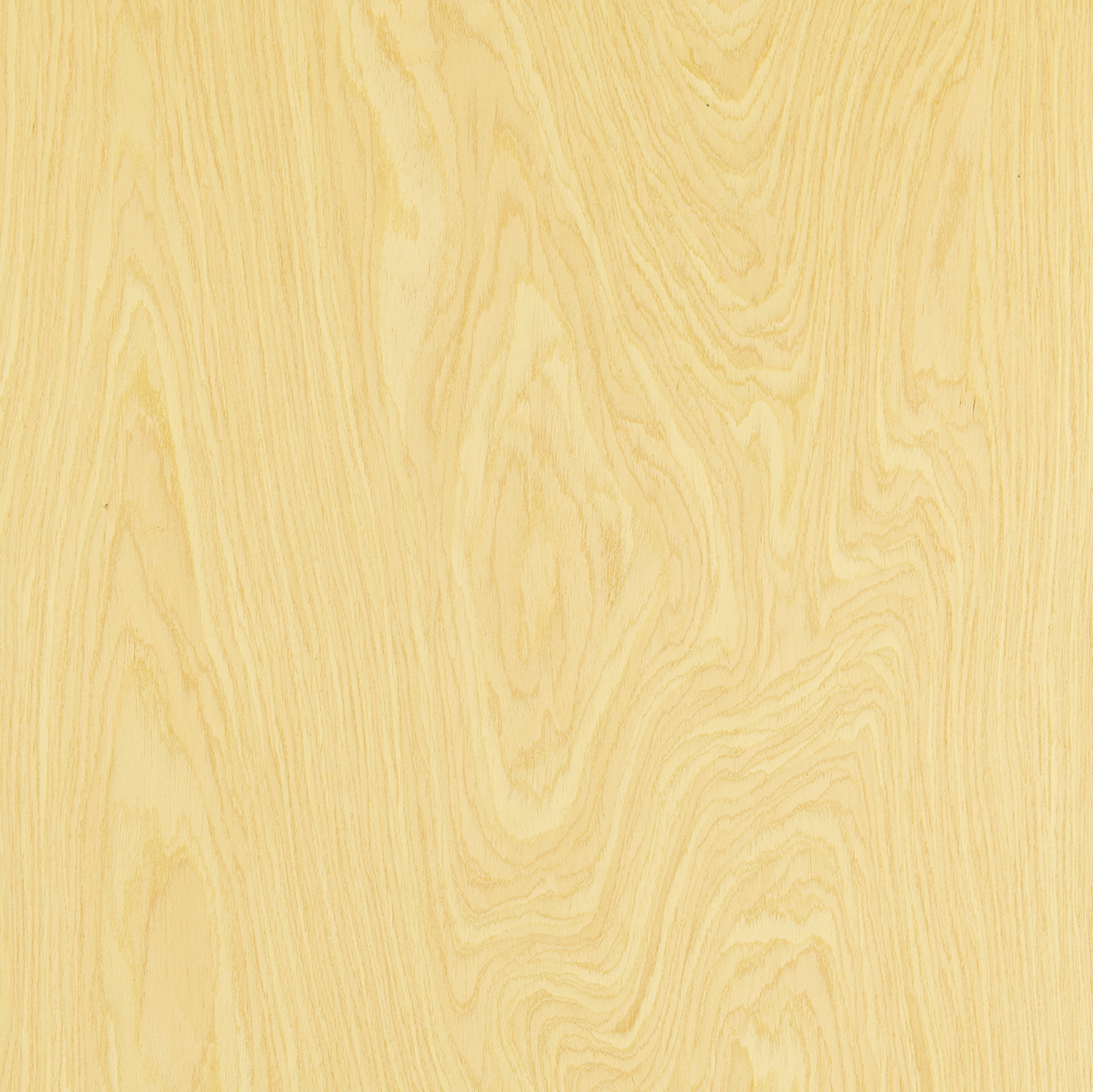 Infinite Wood | Huyskamps