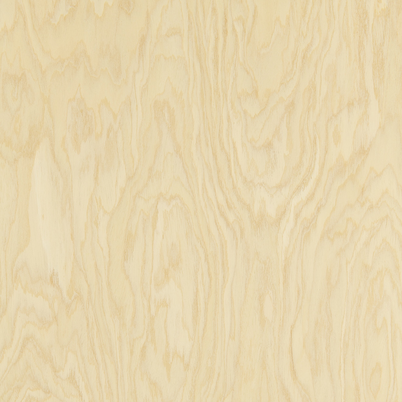 Infinite Wood | Huyskamps