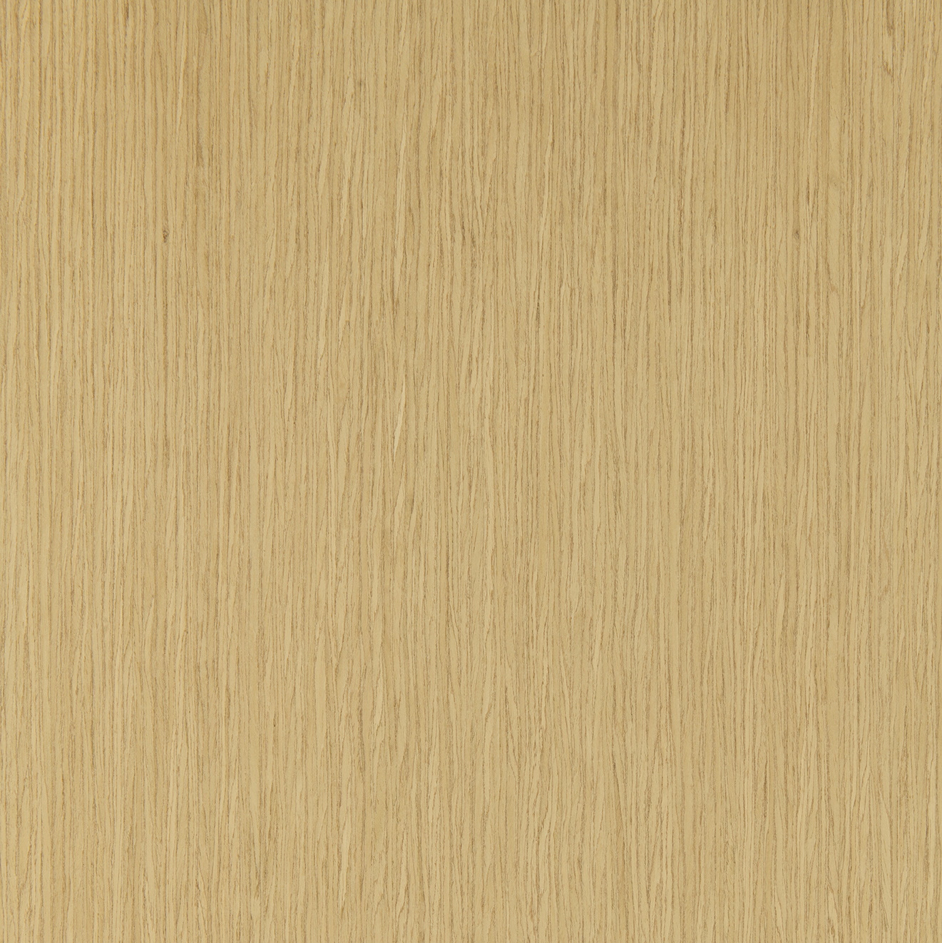 Infinite Wood | Huyskamps