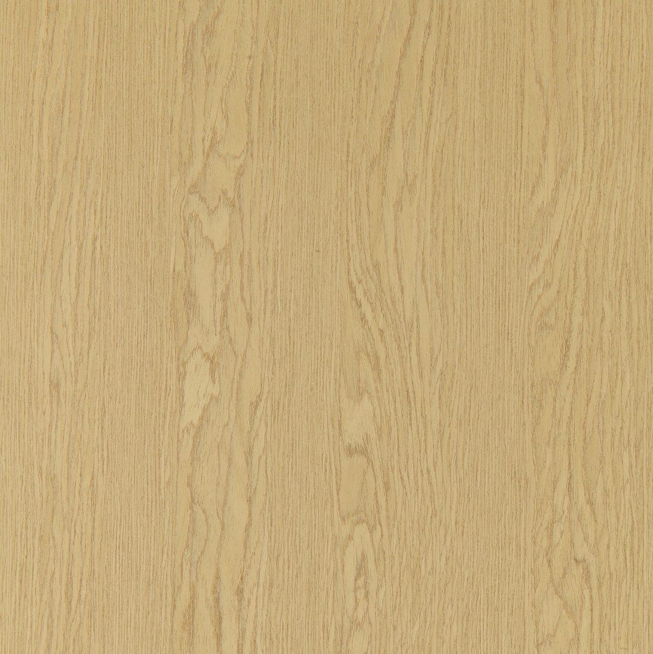 Infinite Wood | Huyskamps